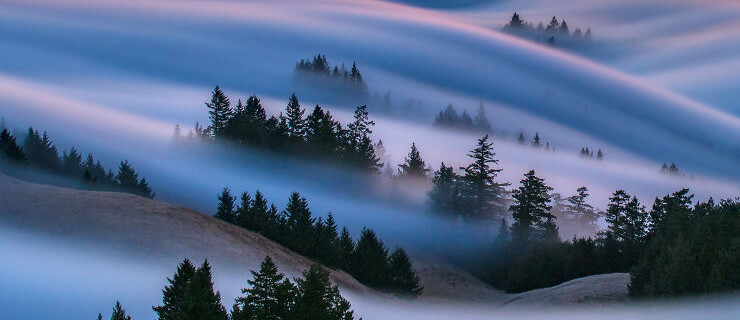 Fog Waves: One of the Most Unusual Scenes I have even Seen by Nick ...